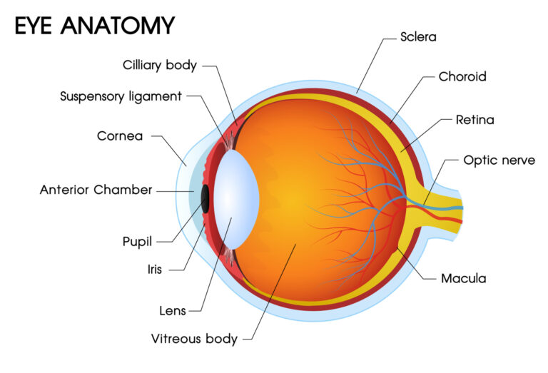 Best Retina Specialist & Eye Surgery Hospital in Delhi NCR | MEI
